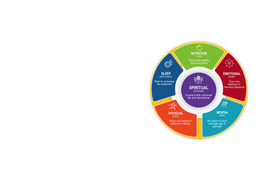 wheelofwell-being - 1-DEGREE/Shift