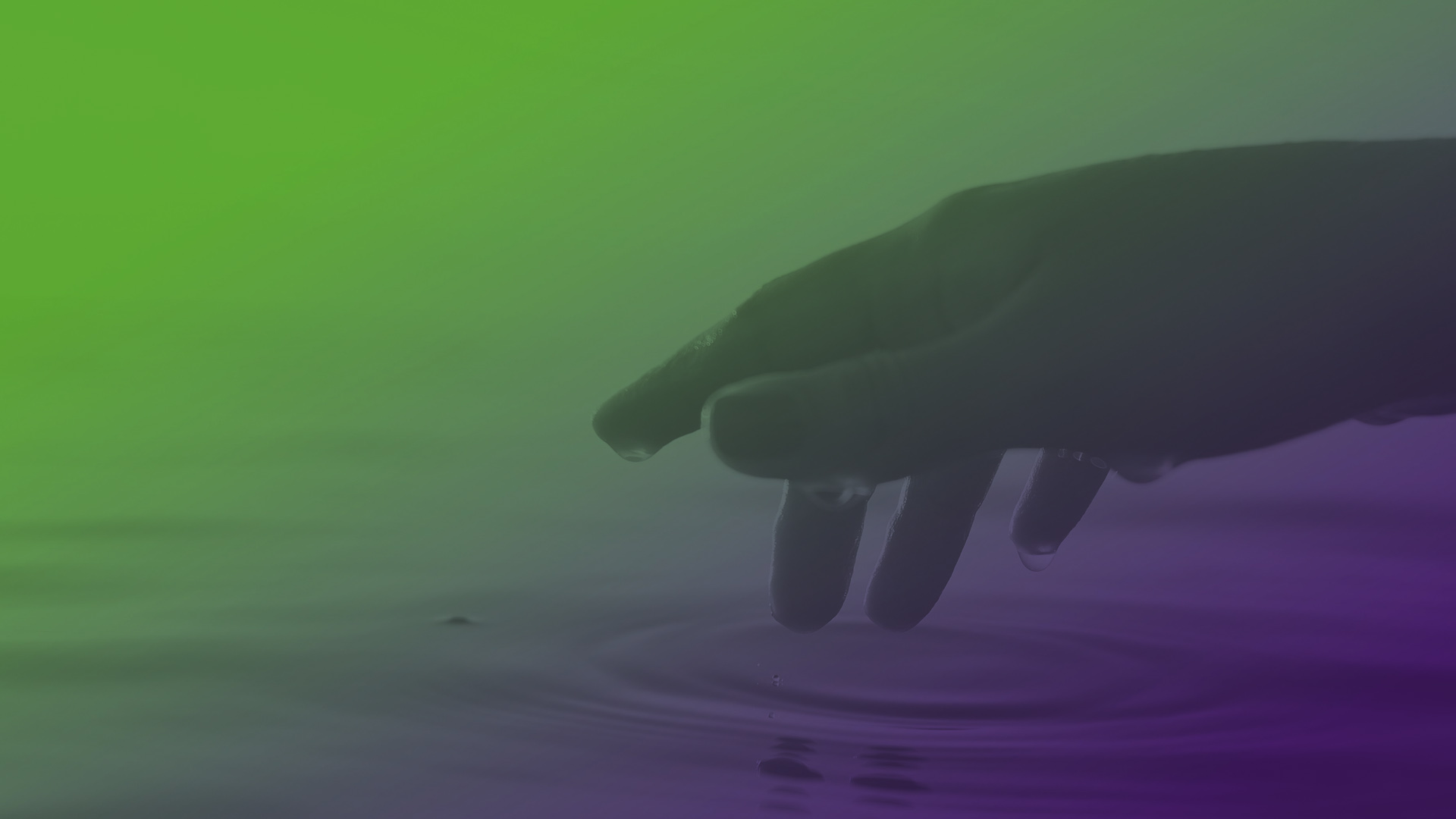 Nick - The Science of Calm (Jan 2024) - 1-DEGREE/Shift